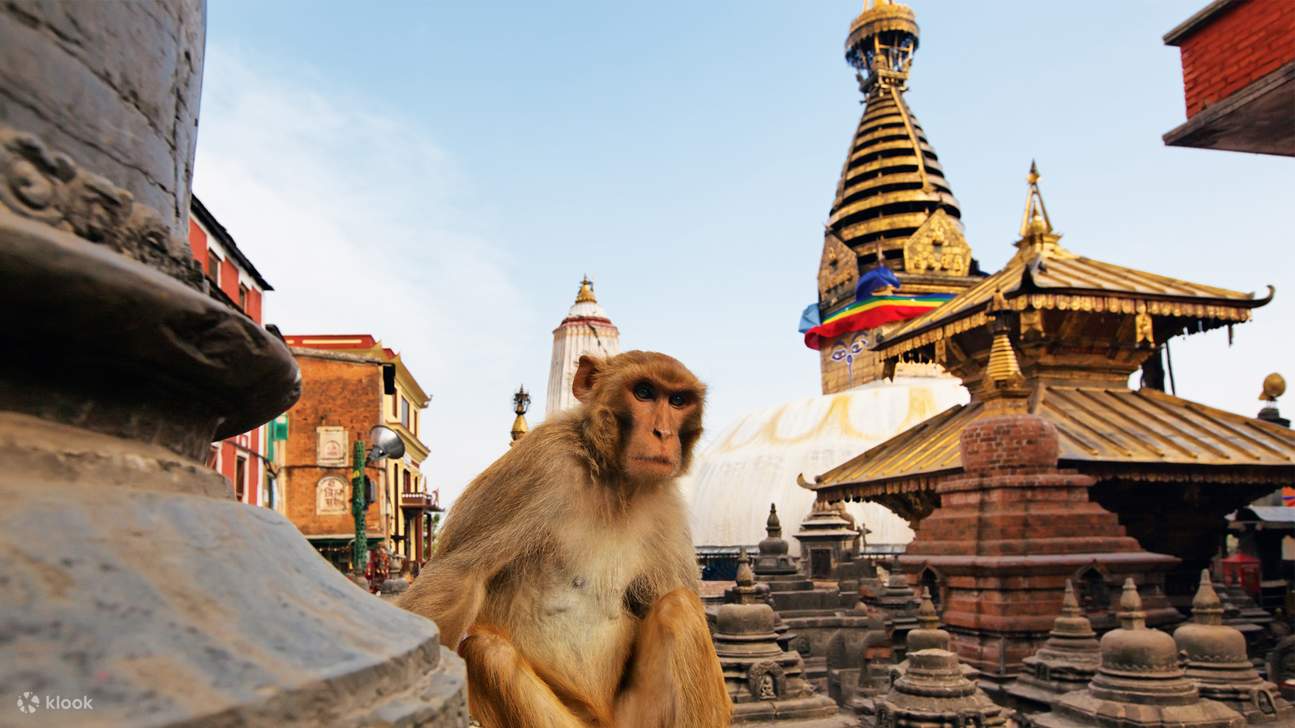 Tur Setengah Hari Berpemandu Swambhunath & Durbar Square - Klook Indonesia