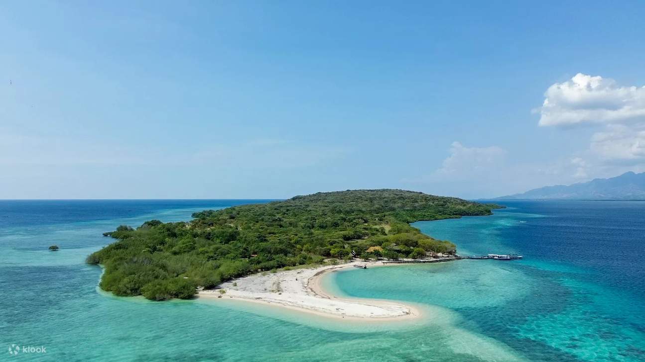 Snorkeling By Bali Diving Academy in Menjangan Island - Klook Philippines