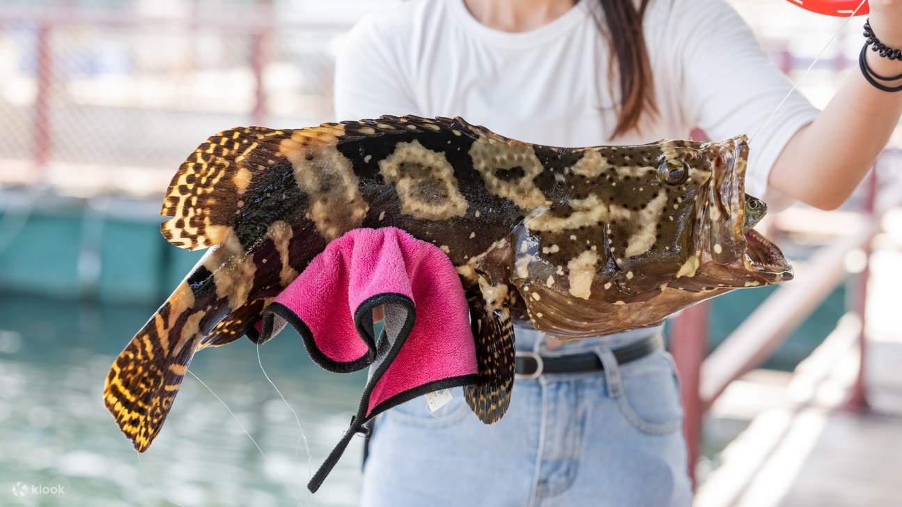 Sham Chung & Tai Po Fish Rafts Eco Discovery Tour - Klook Singapore