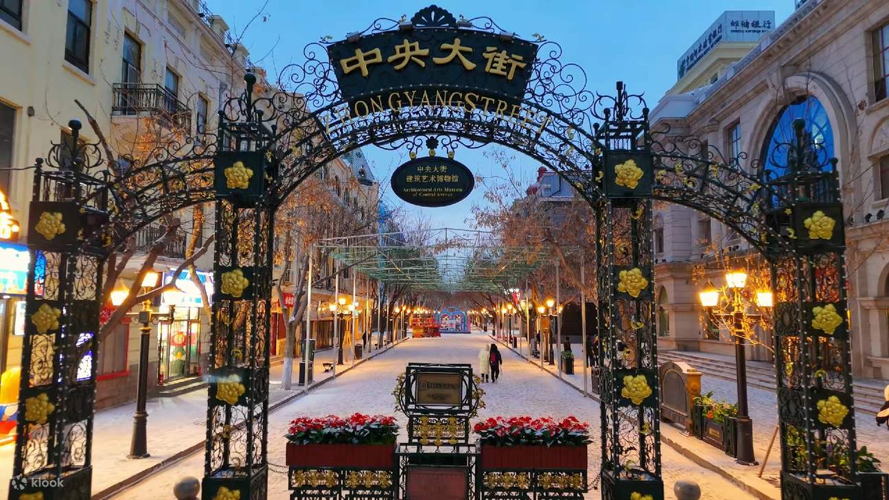 6-Day Northern Lights Tour: Harbin & Mohe, Northeast China - Klook ...