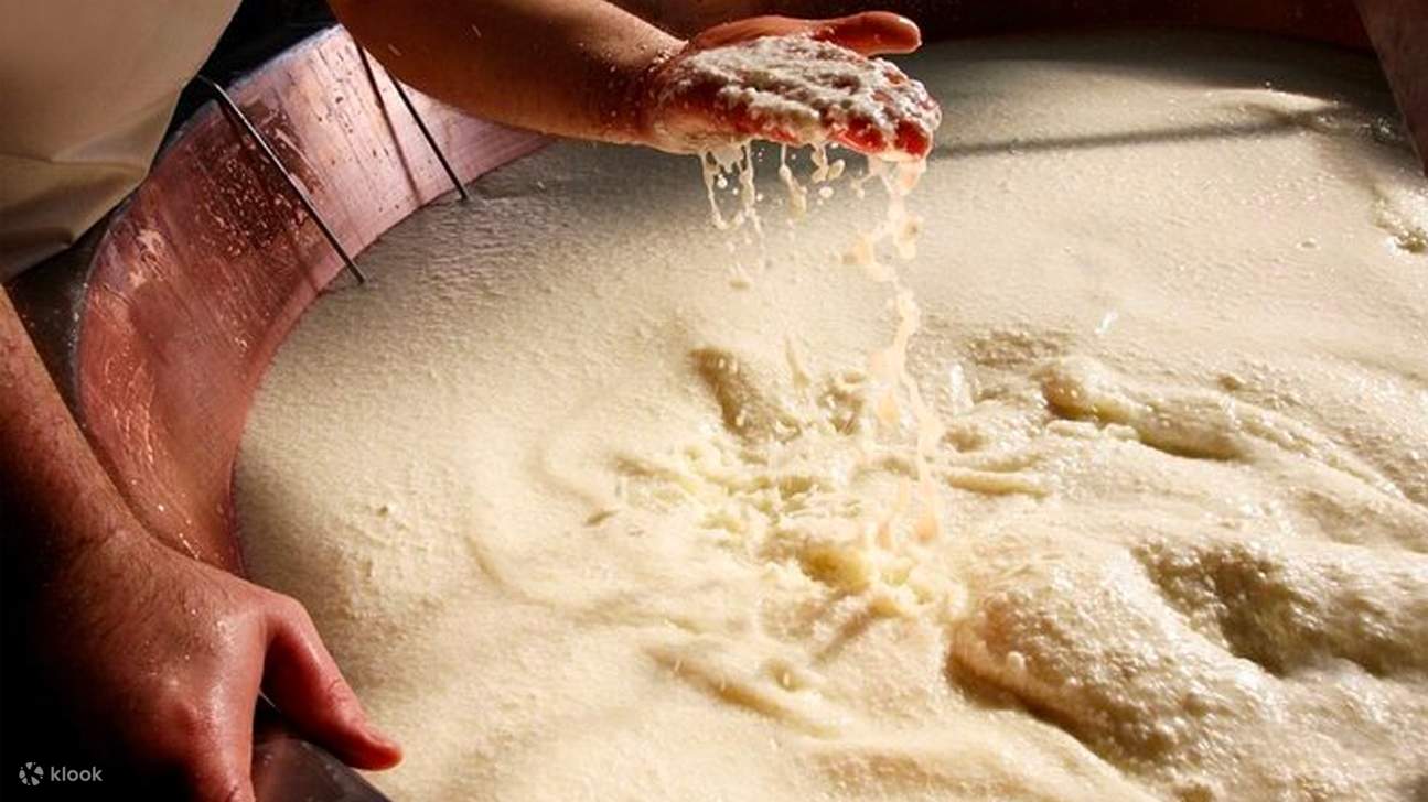 Parmesan cheese factory tour with tastings in Parma - Klook Australia