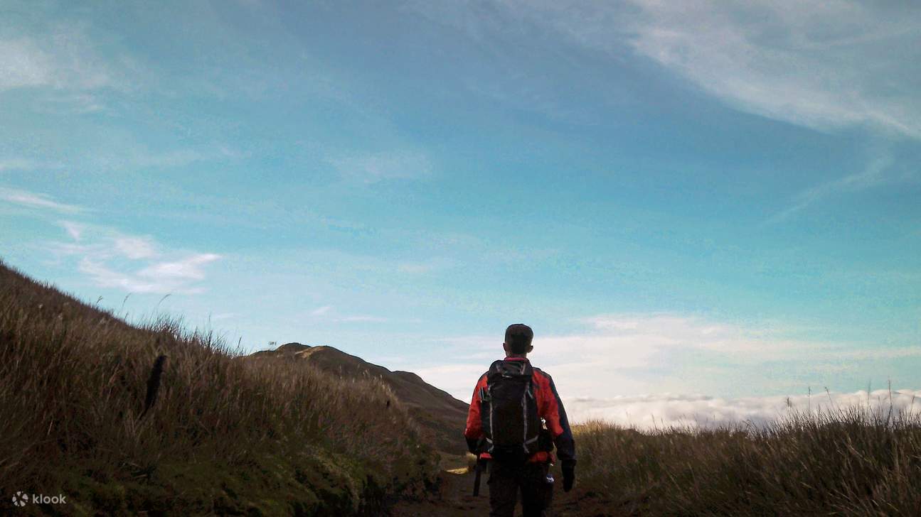 Mulakan Pendakian Gunung Pulag 2 Hari yang mendebarkan untuk ...