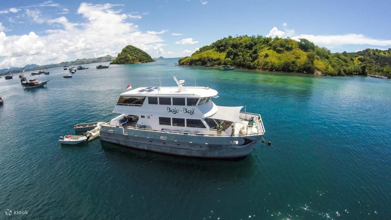 Unforgettable Full-Day Dive Trip with PADI 5 Star Dive Center in Komod ...