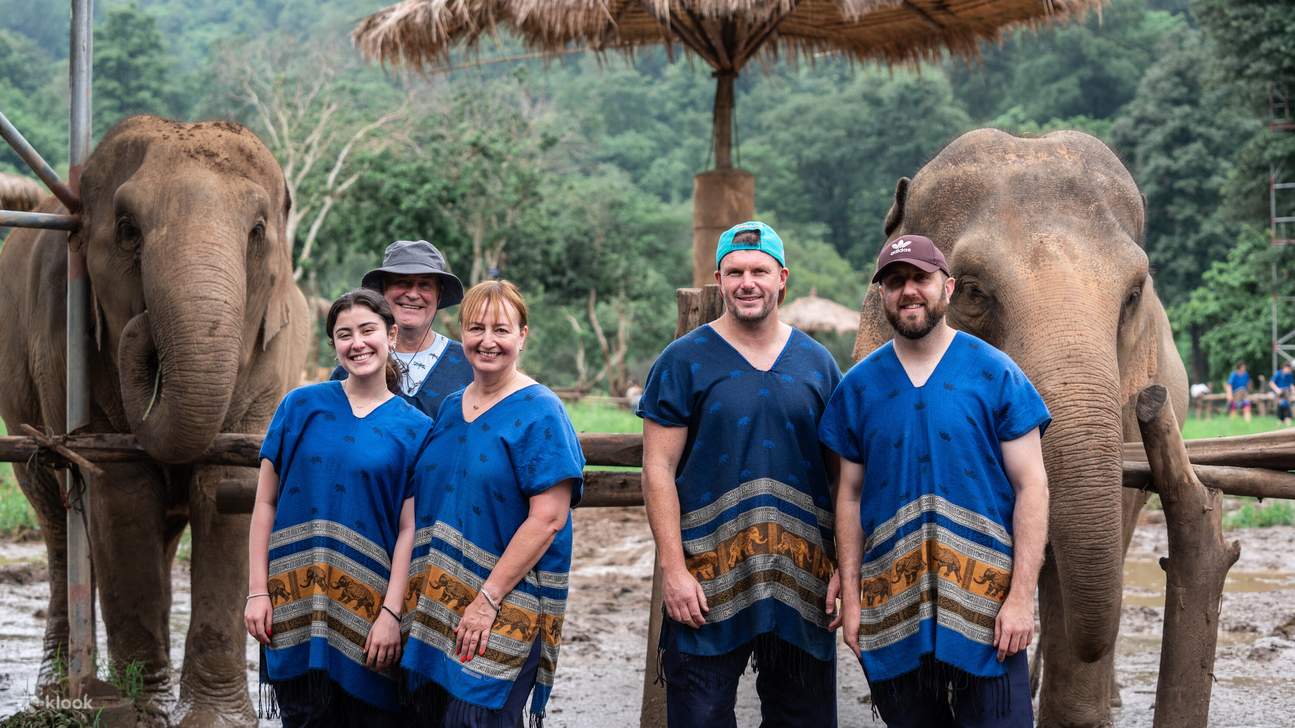 Elephant care activities at New Elephant Home Elephant Conservation ...