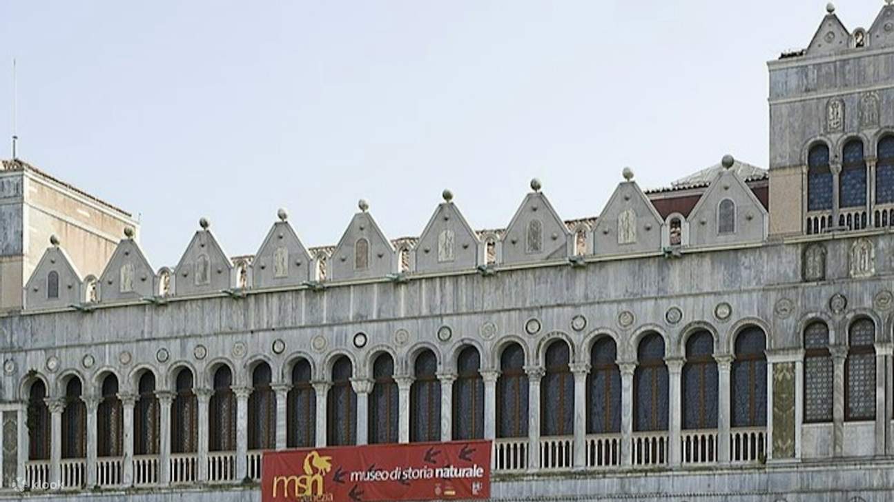 Natural History Museum of Venice ticket - Klook