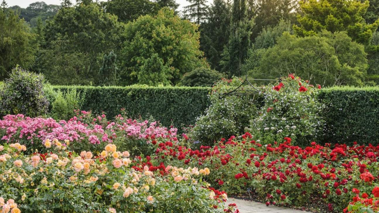RHS Garden Rosemoor ticket in Devon - Klook Singapore