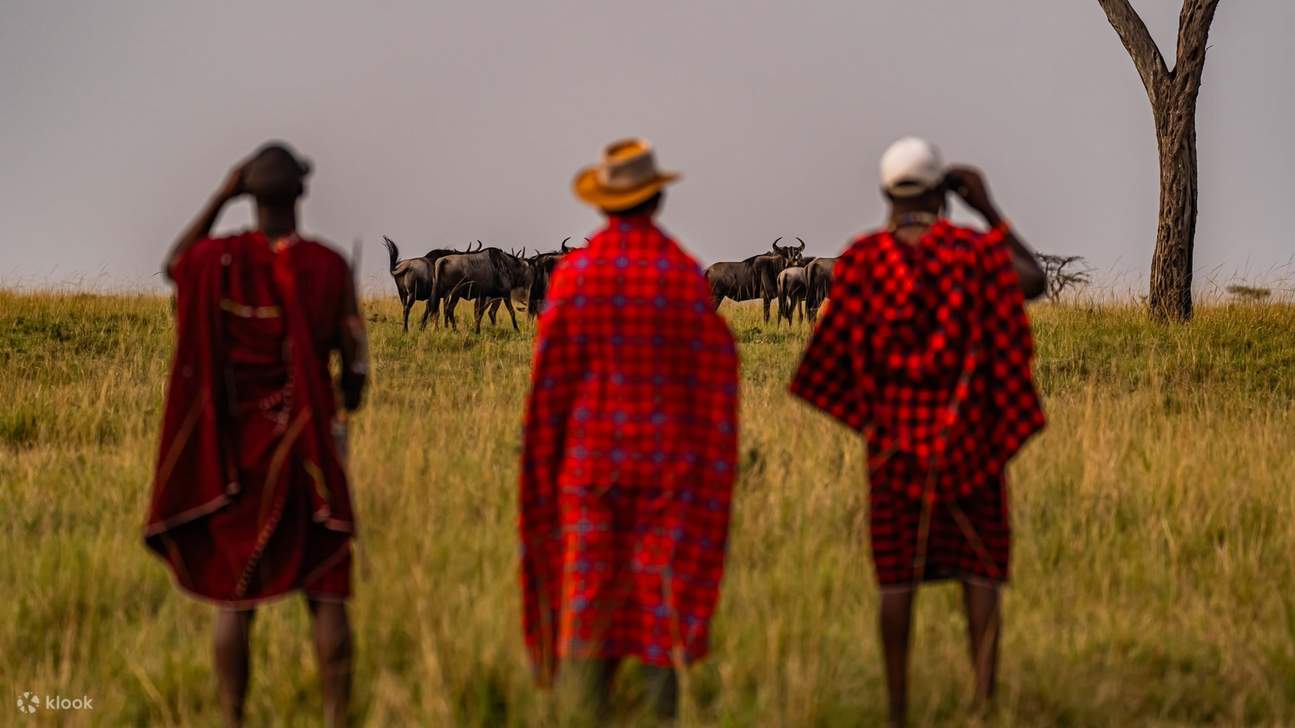 7-Day Kenya Safari: Masai Mara, Amboseli & Scenic Lakes - Klook Estados ...