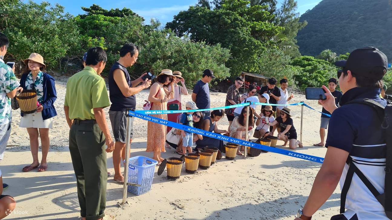Bay Canh Island & Tai Island Tour in Con Dao; Turtle Releasing ...