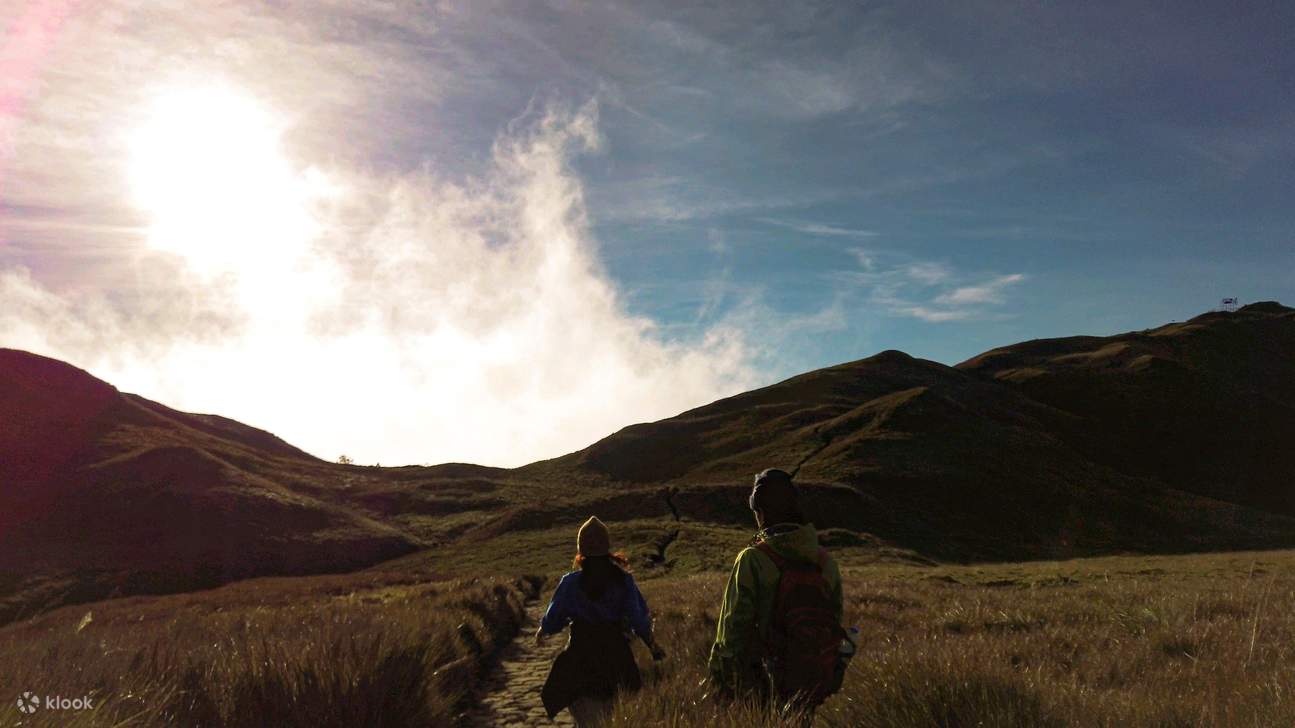 Embark on a Thrilling 2-Day Mt. Pulag Hike for Breathtaking Views ...