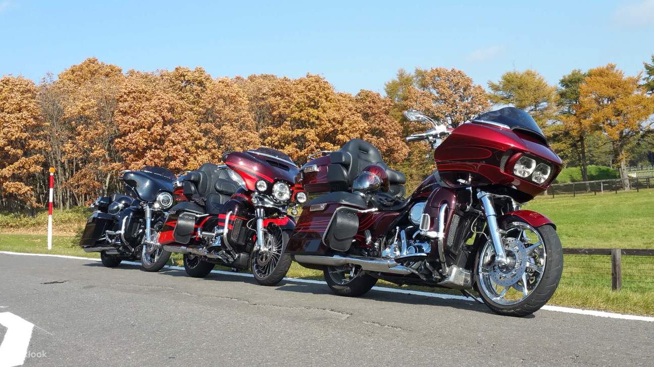 One-day Harley-Davidson motorcycle tour in Hokkaido (local Japanese ...