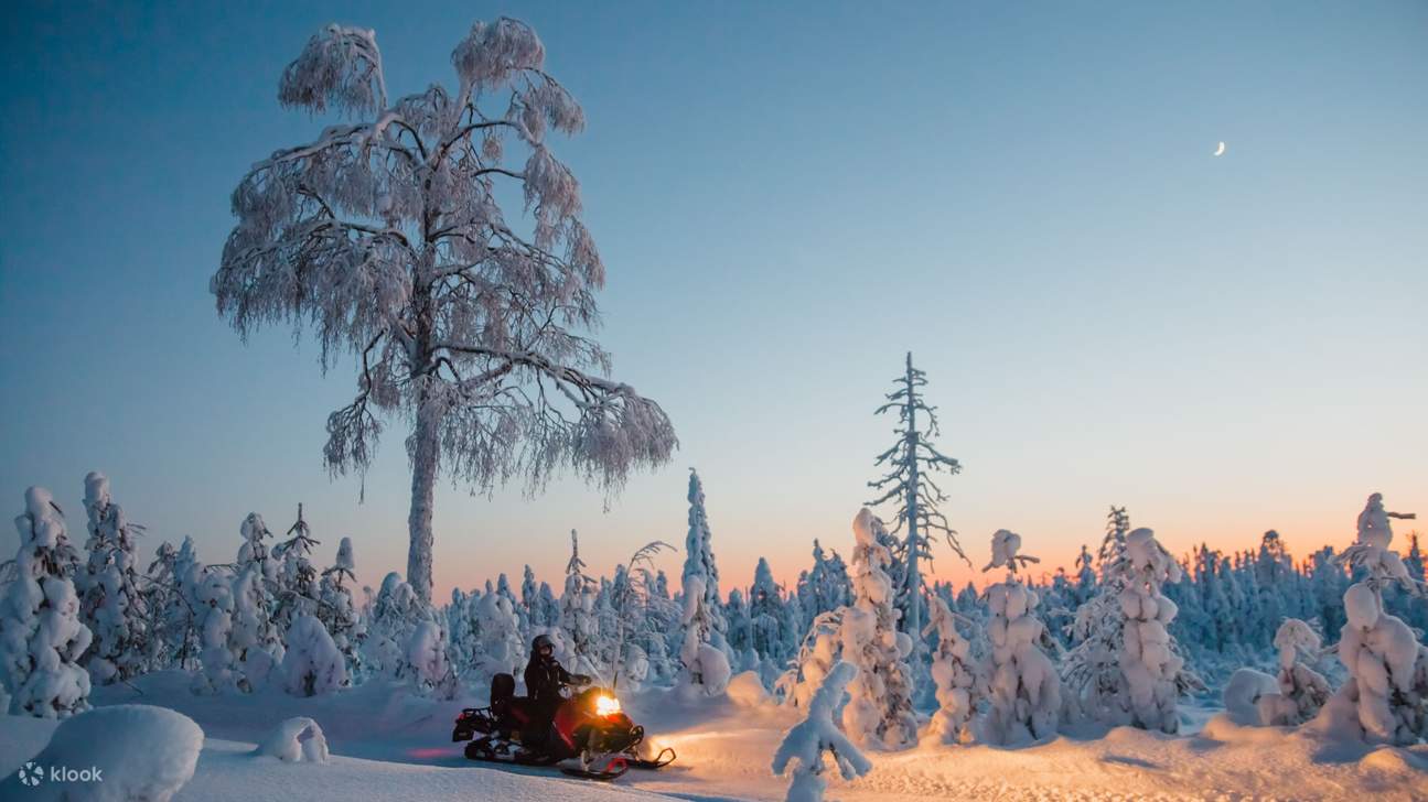 Snowmobile safari, reindeer sleigh ride & farm tour from Rovaniemi ...