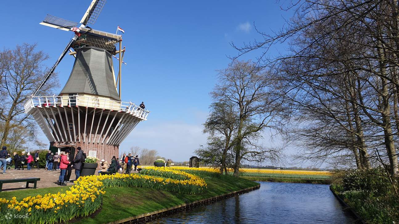 튤립 투어 큐켄호프keukenhof 및 시티 투어 델프트delft 아름다운 튤립 들판을 탐험해보세요 클룩 Klook 한국