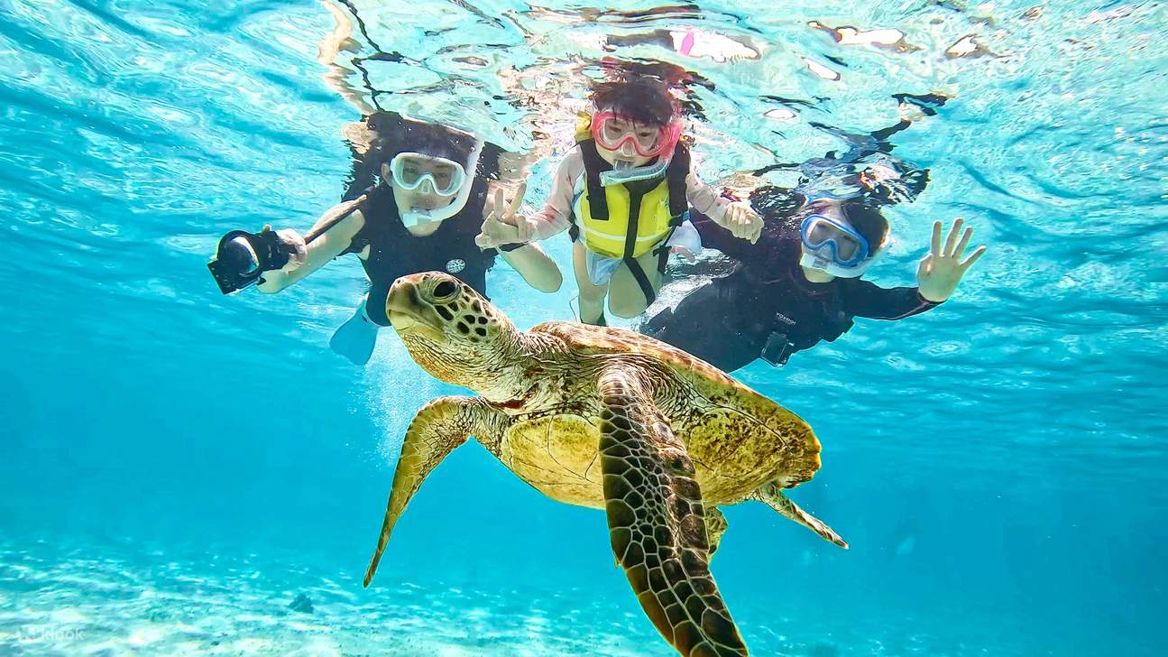 [Miyakojima/1 day] SUP & Sea Turtle Snorkeling - Klook United States