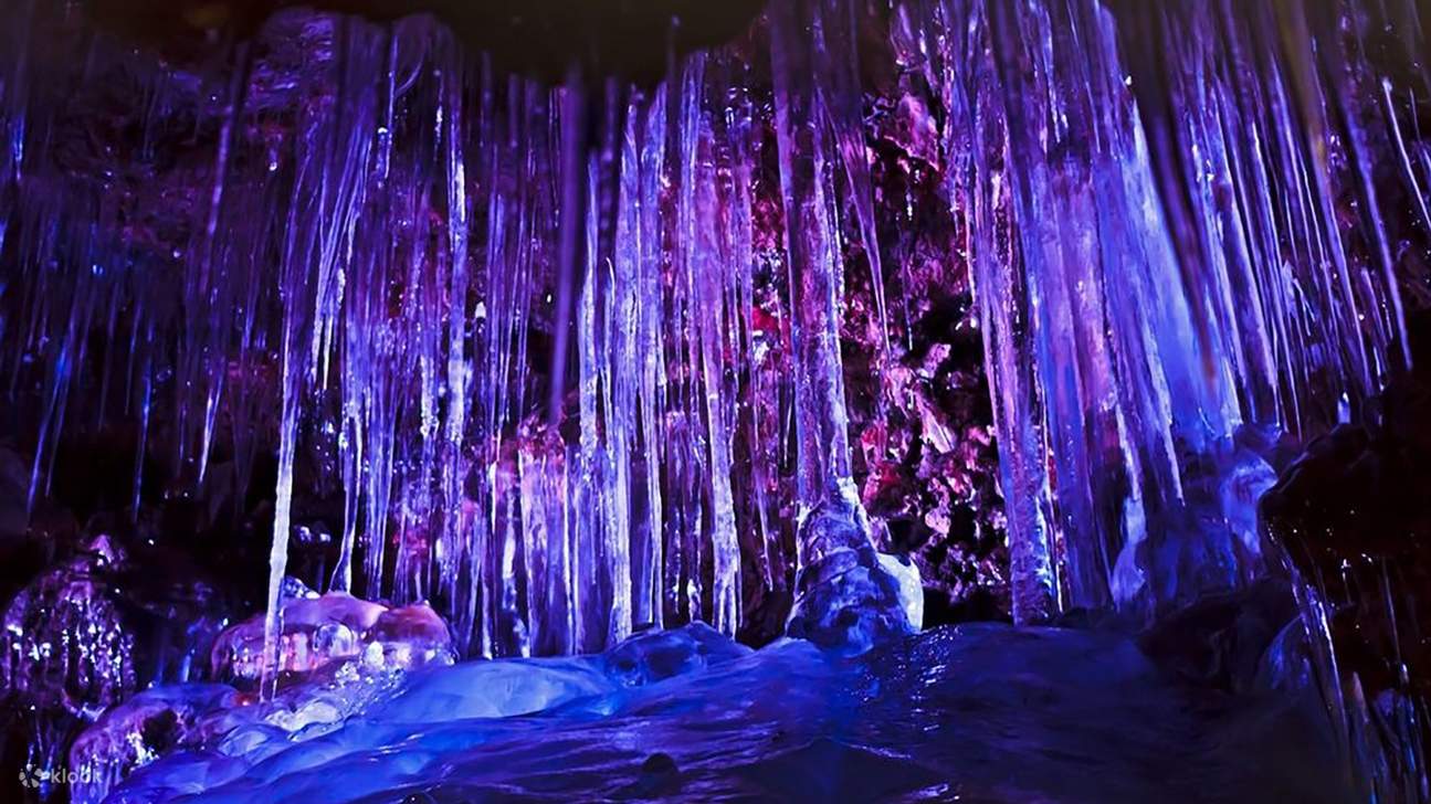 Mt. Fuji, Wind Cave, Ice Cave, and Fuji Sake Day Trip from Tokyo with ...