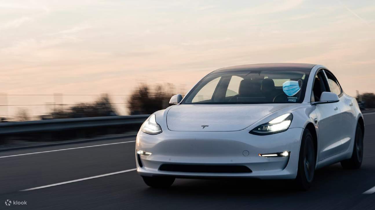 Tesla Drive dengan Topeng Elons Keliling Dunia - Klook Indonesia