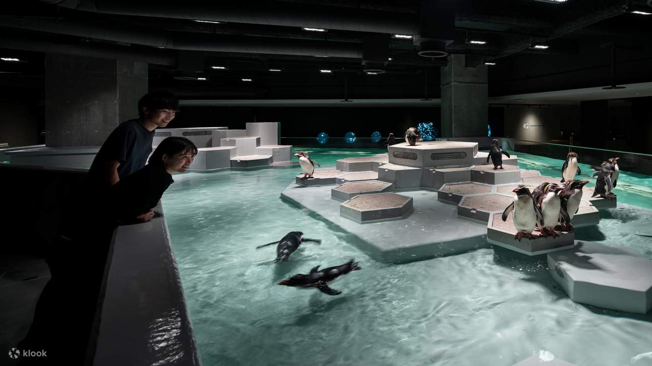 AOAO SAPPORO水族館（北海道） | Klook