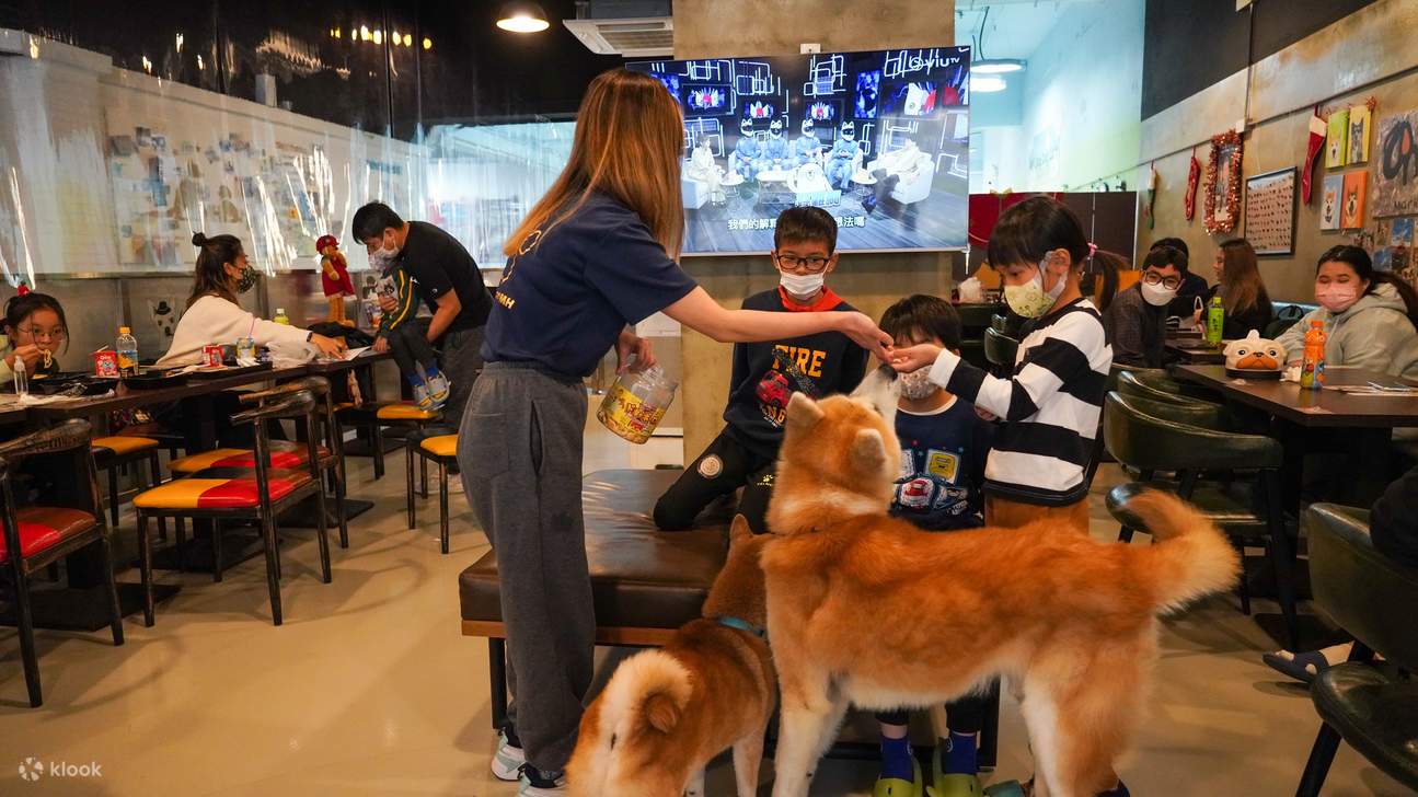 On Dog Dog Cafe - Pet Interaction Experience in Hong Kong - Klook Hong Kong