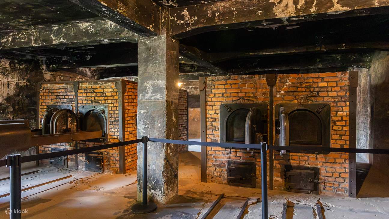 Auschwitz-Birkenau Tour from Krakow - Klook