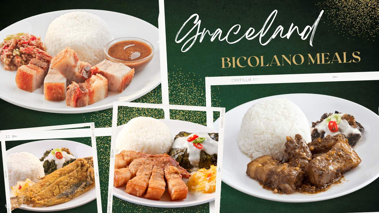 Bicol Culinary Tour in Albay with ATV Adventure & Highlands Park ...