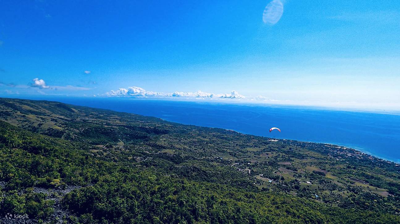 Oslob Whale Shark Swimming and Paragliding Experience - Klook