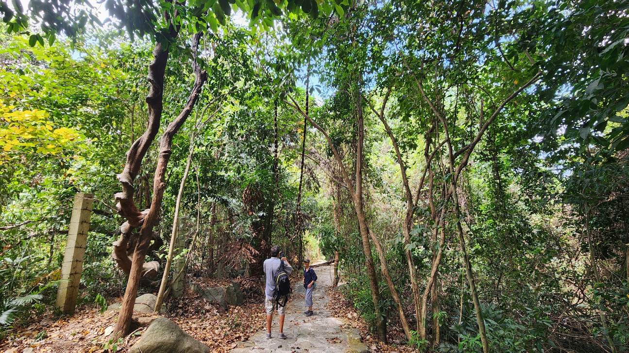 Hiking in Con Dao National Park - Klook United States