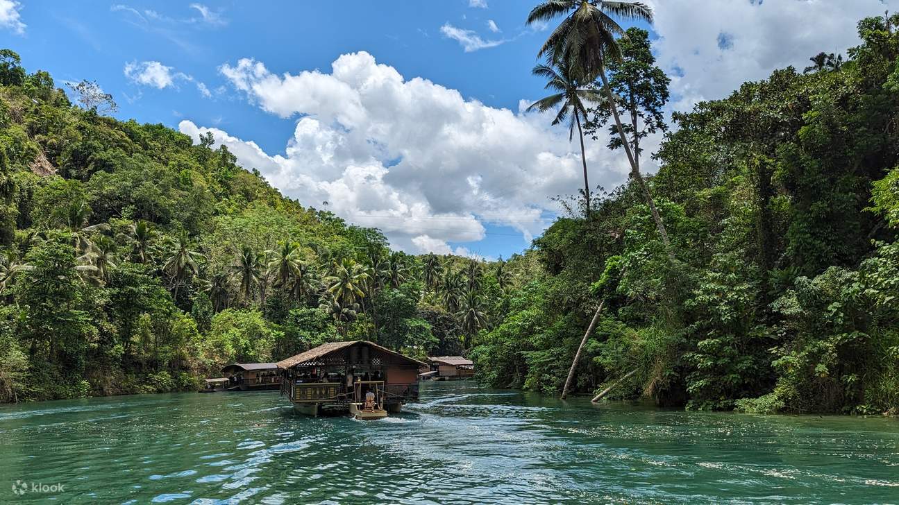 Bohol Day tour with Chocolate Hills, Tarsier, Loboc River Cruise ...