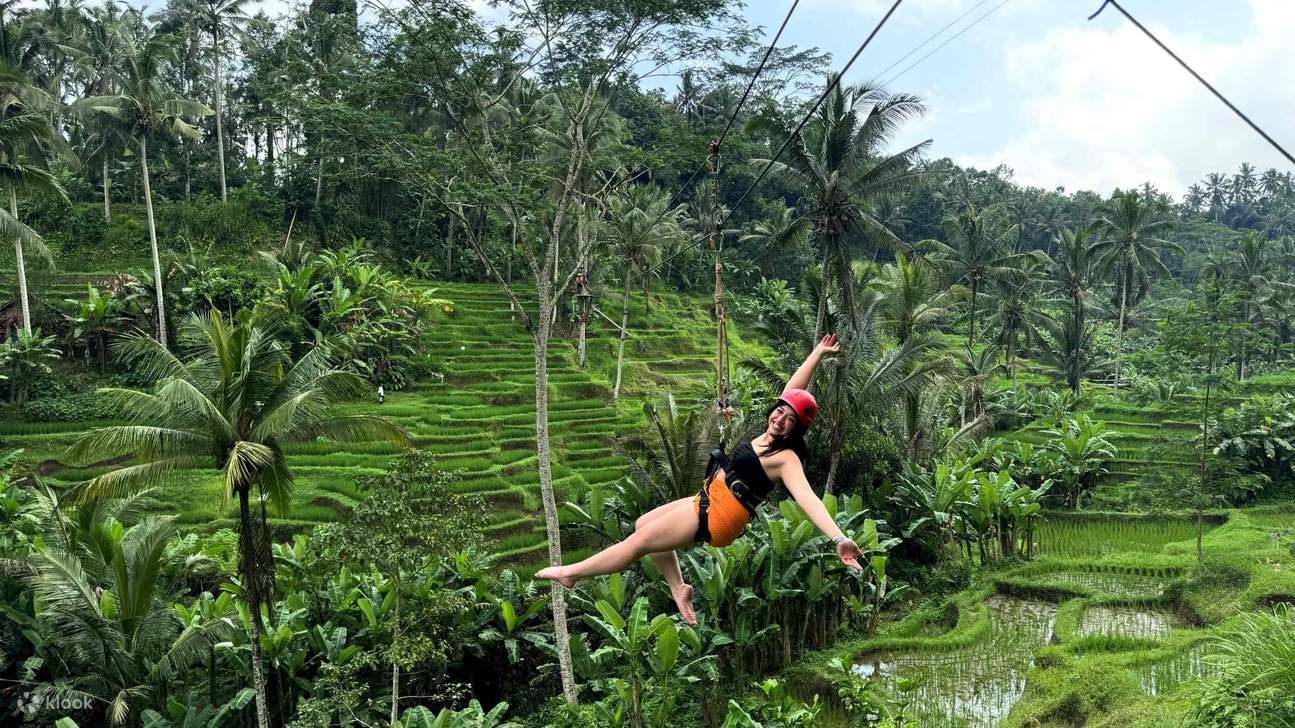 Zipline, Dreamcatcher Swing, Sky Bike and Guided Cultural Tour in Ubud ...
