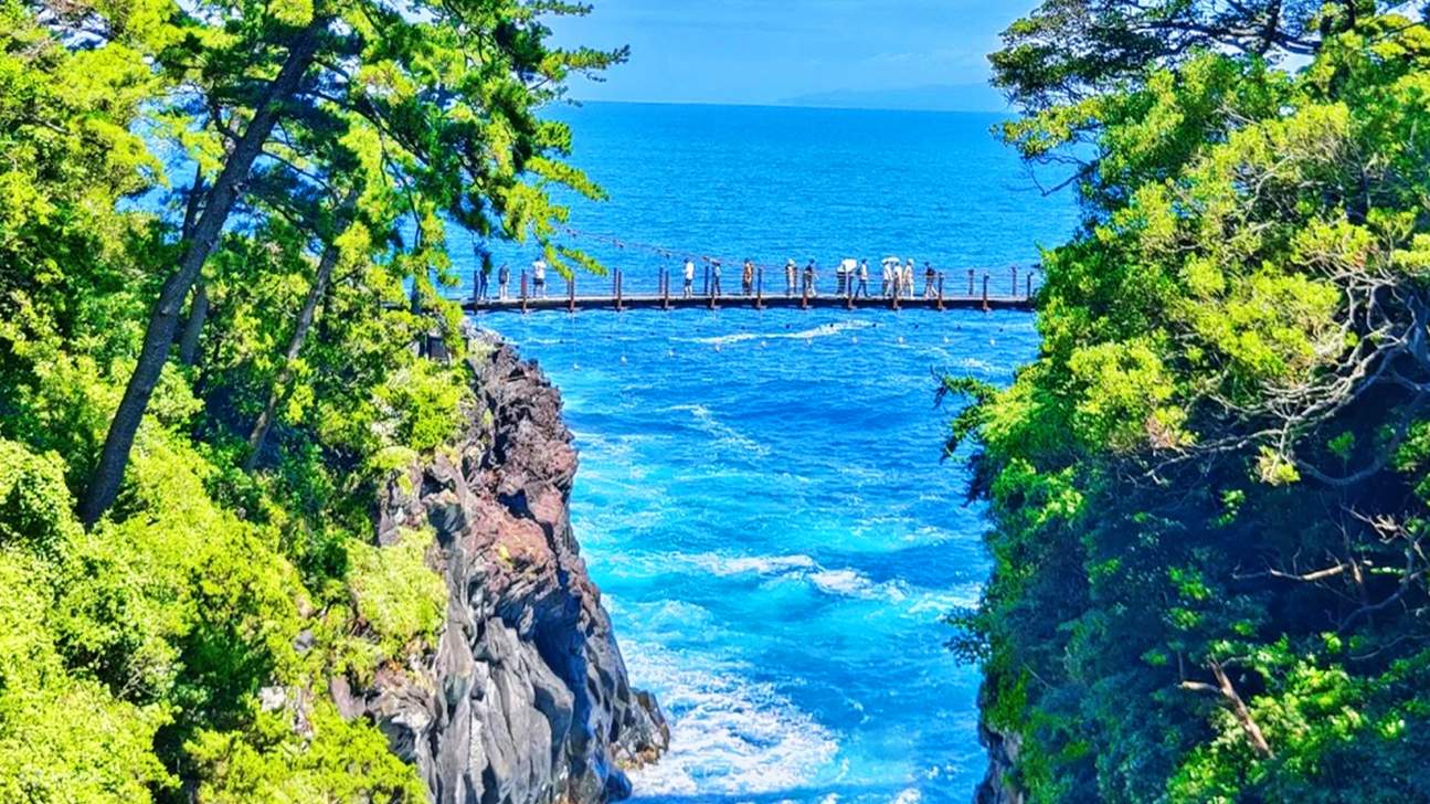 2026 Early Spring Cherry Blossom Limited - Kawazu Cherry Blossom ...