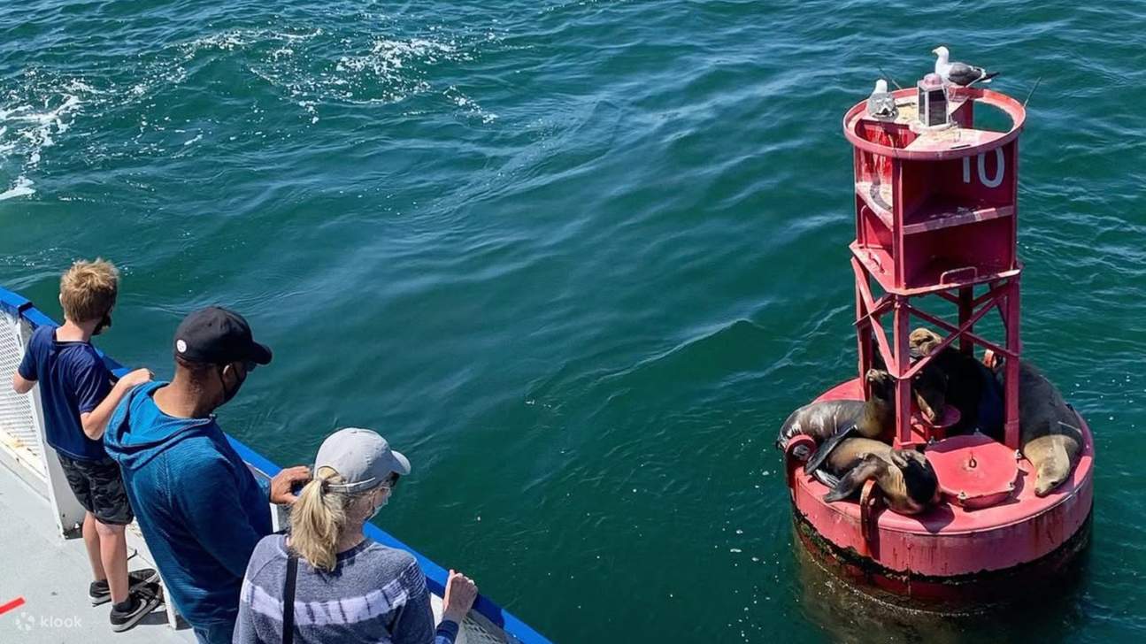 Harbor Cruise Experience from West Harbor, Los Angeles - Klook United ...