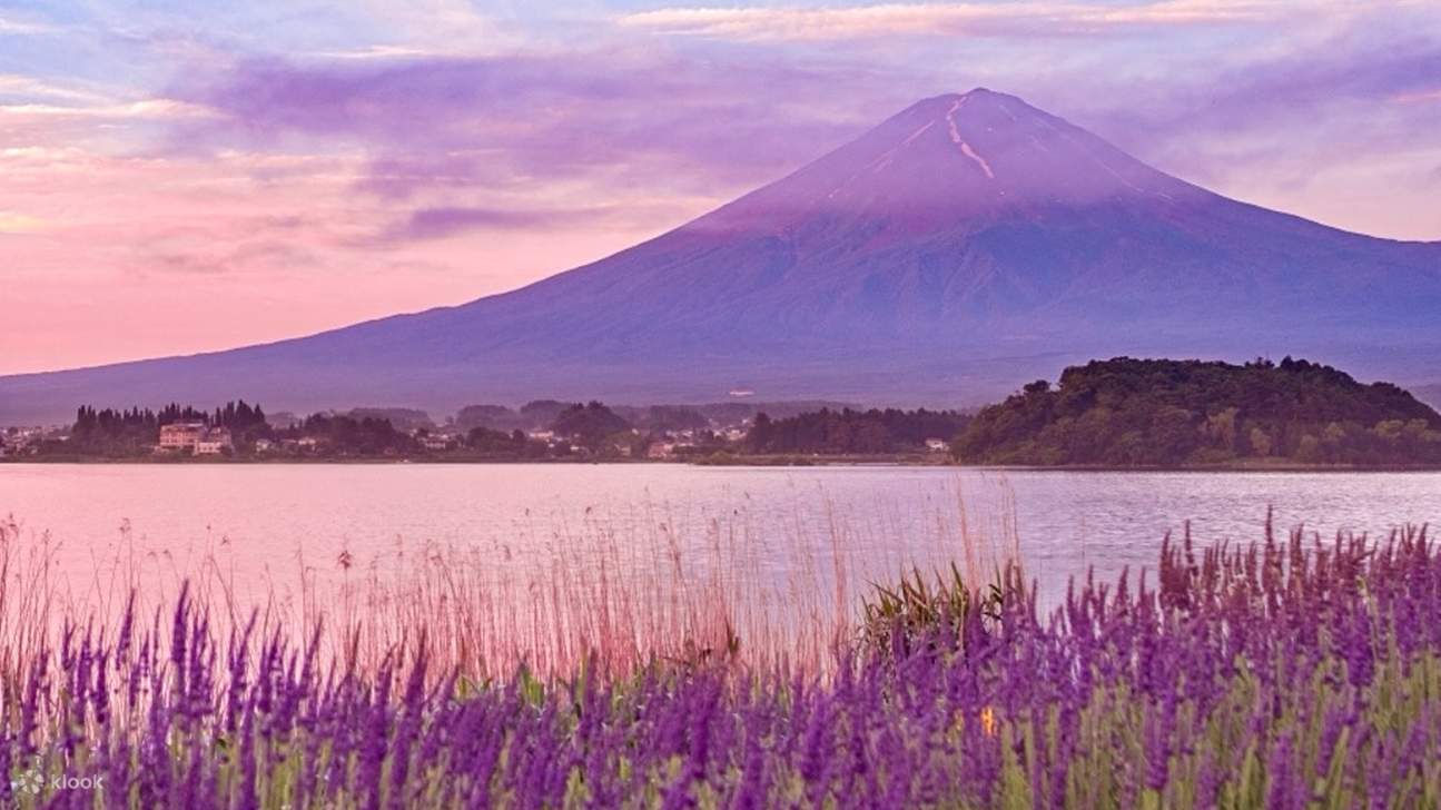 Mount Fuji: A day trip to Arakurayama Sengen Park, Hikawa Clock Shop ...