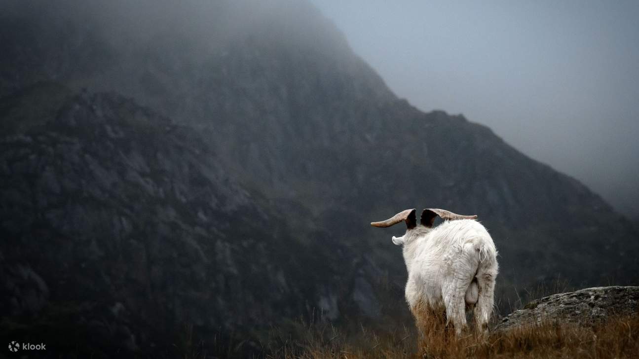 North Wales one-day rail tour from London - Klook Singapore