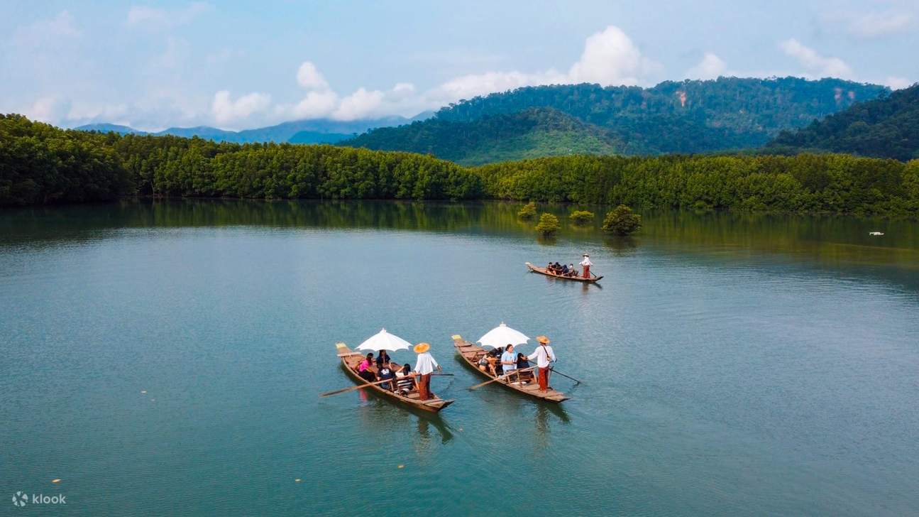 Koh Chang: Mangrove Forest Gondola Tour - Klook United States