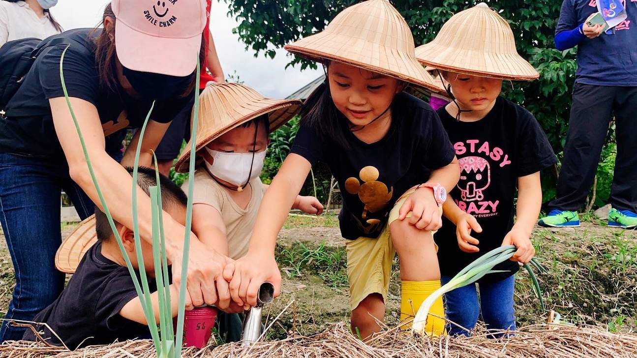 Yilan: Farmer Green Onion Experience Farm - Three Star Green Onion ...