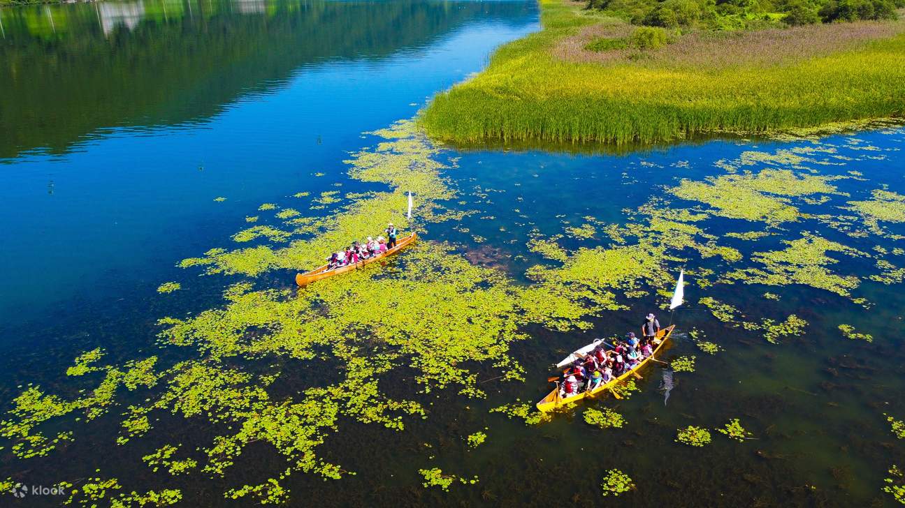 Begonia Bird Park / KingCanoe / RailBike / Cable Car / Nami Island - Klook