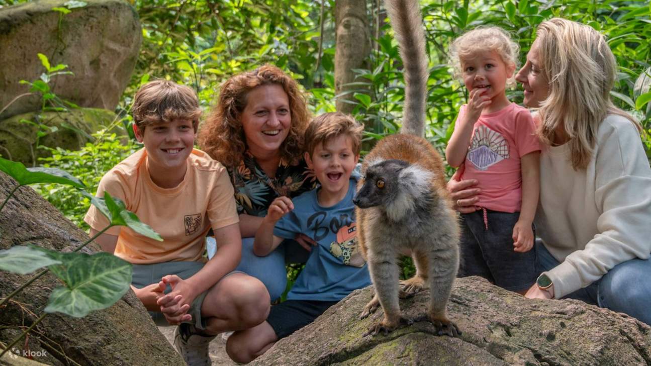 WILDLANDS zoo ticket in Emmen - Klook United Kingdom