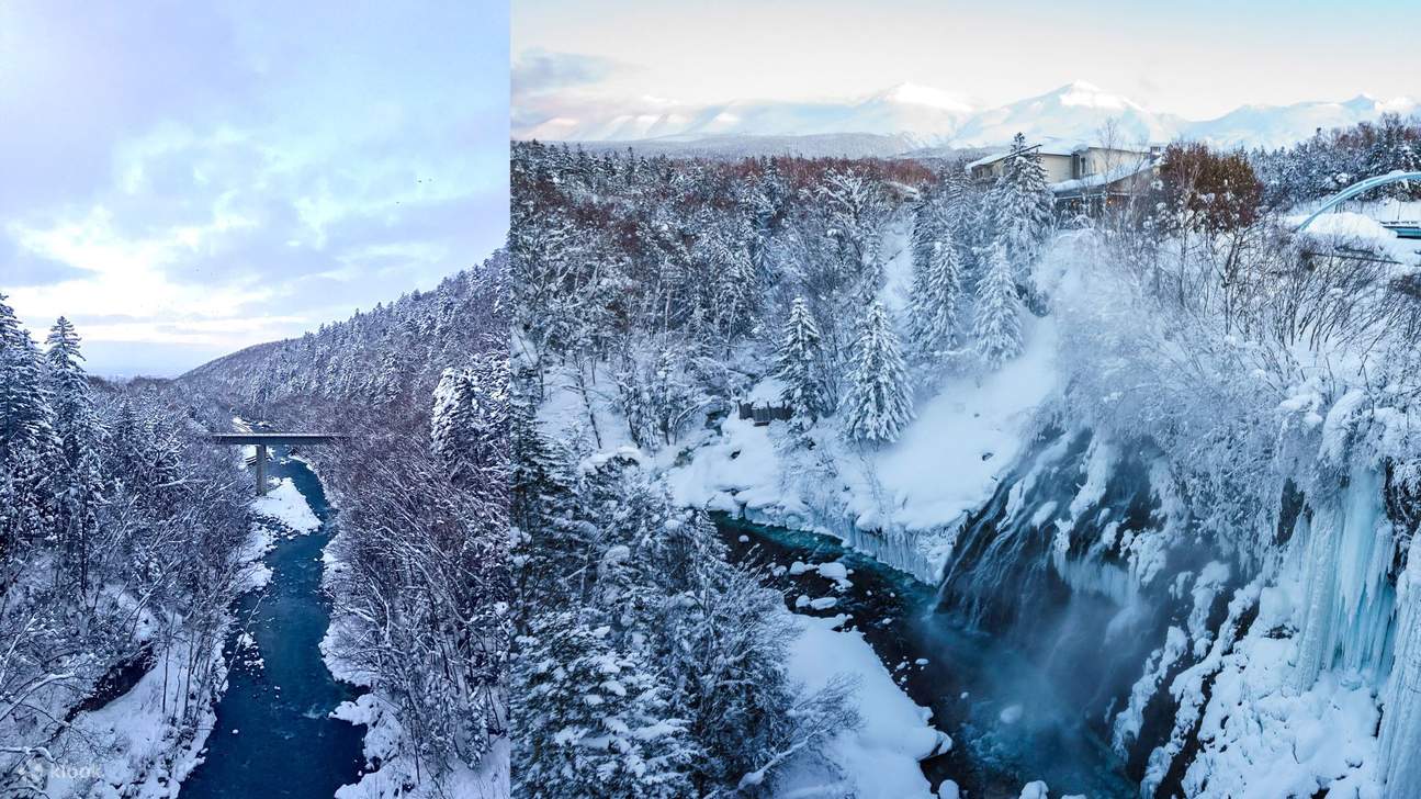 Hokkaido Biei Winter Blue Pond & Shirahige Falls Light-Up Day Trip ...