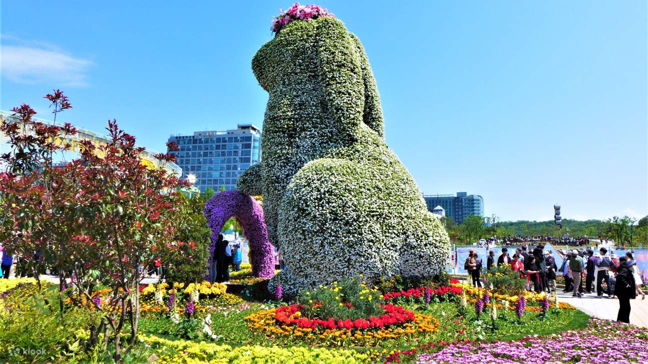 2025 Ilsan International Flower Expo Half-day Tour - Klook Hong Kong