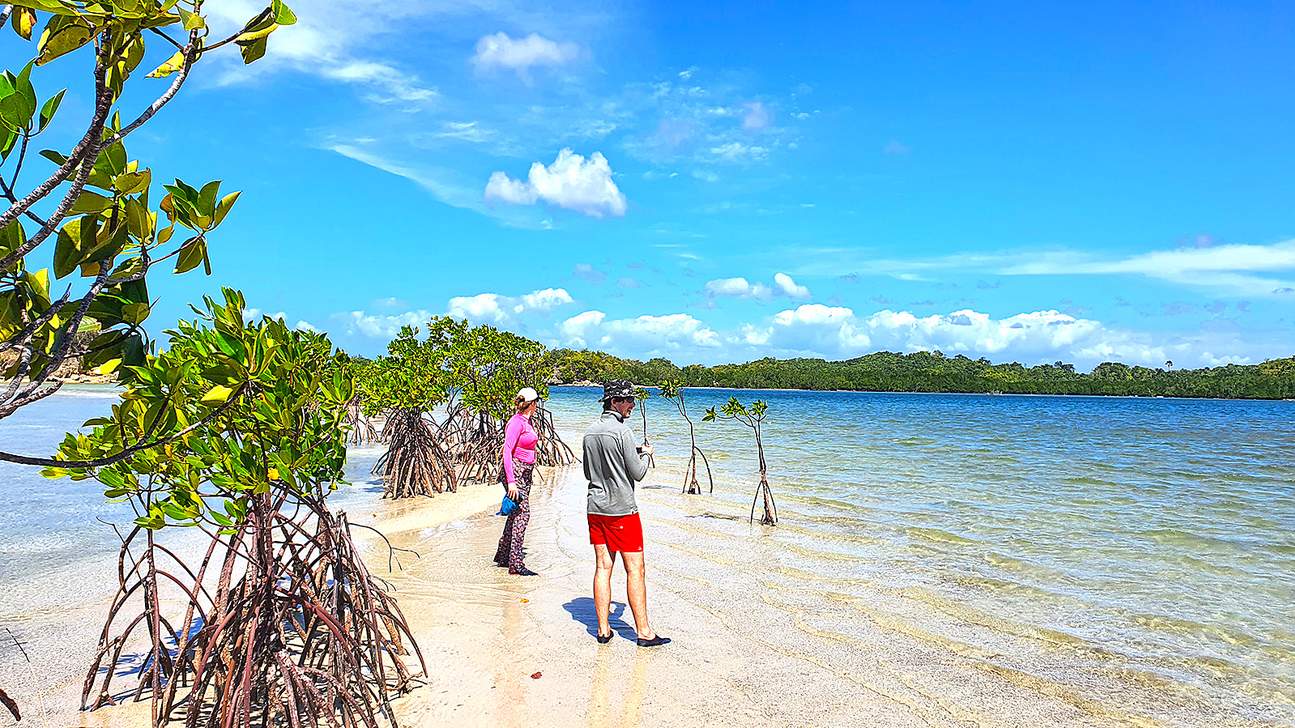 Island Bliss: Taklong Island Boat Tour - Coastal Adventure in the ...