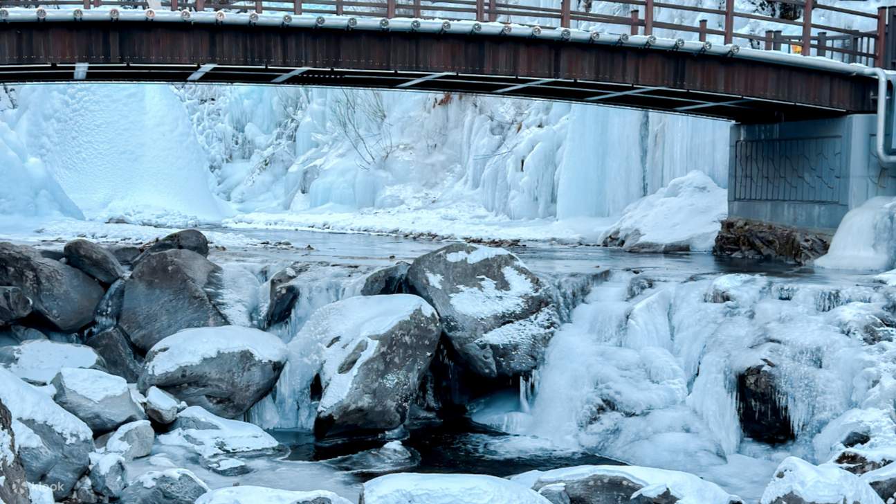 Eobi Ice / sledding / Strawberry / Morning Calm(Starlight) Day Tour ...