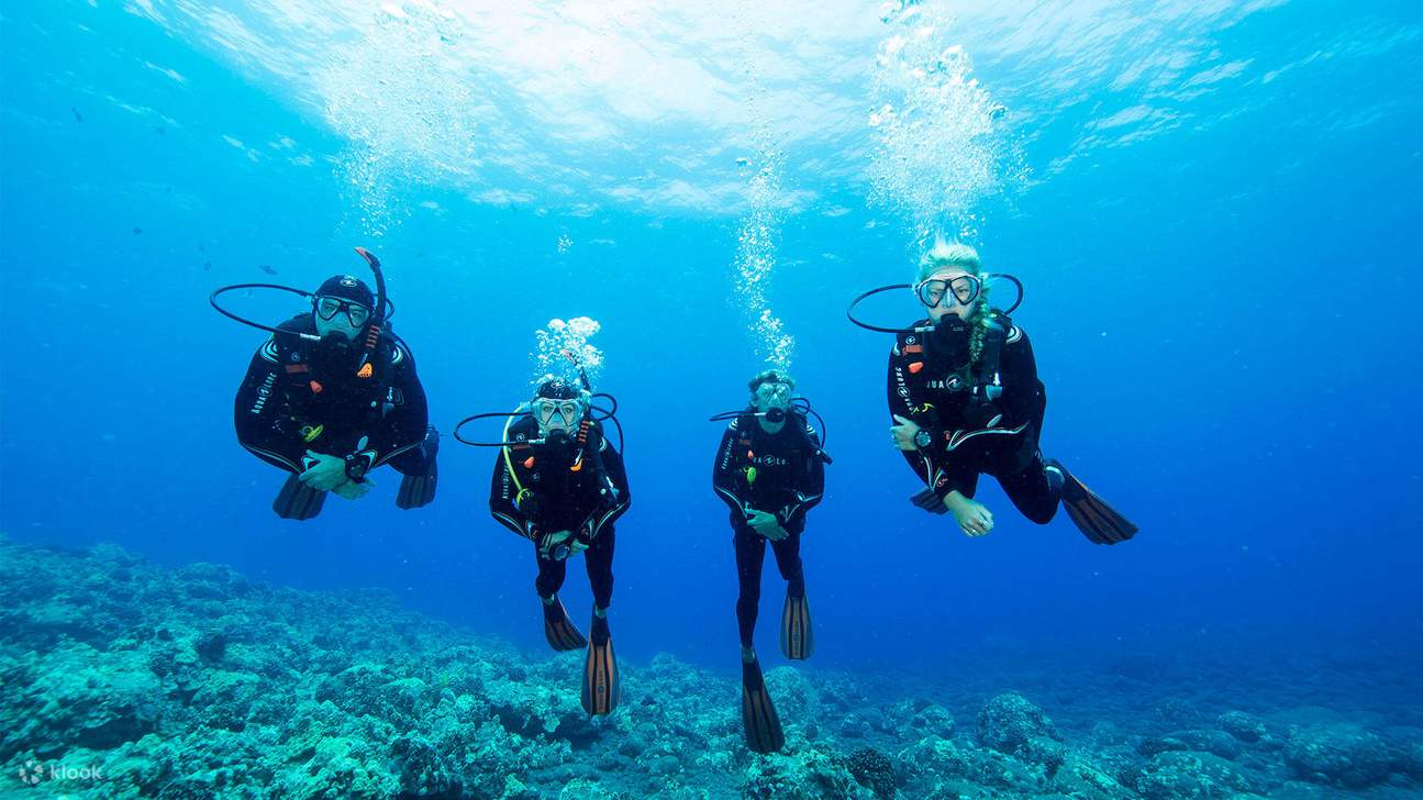 Menyelami Petualangan: Pengalaman Menyelam Scuba Marmaris dengan Dua ...
