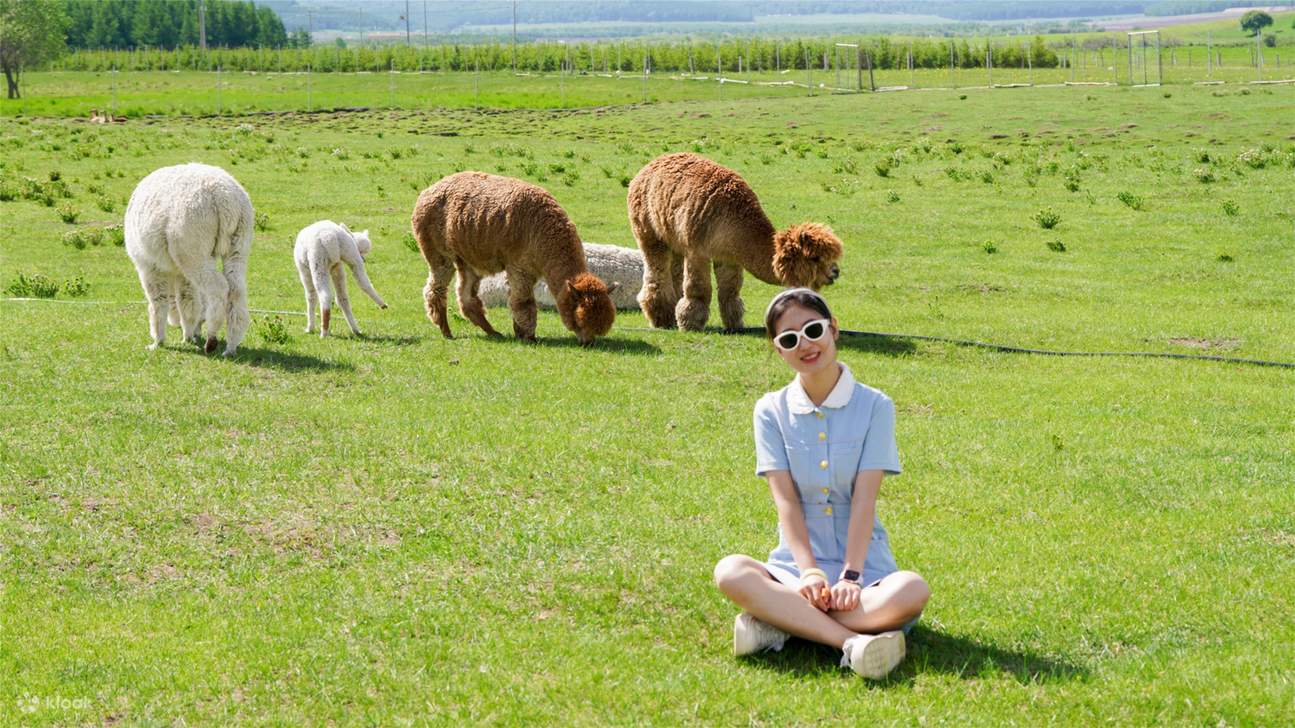 [Meet Ulanbutong Winter·Ice and Snow Carnival 5 Days] Beijing+Saihanba ...