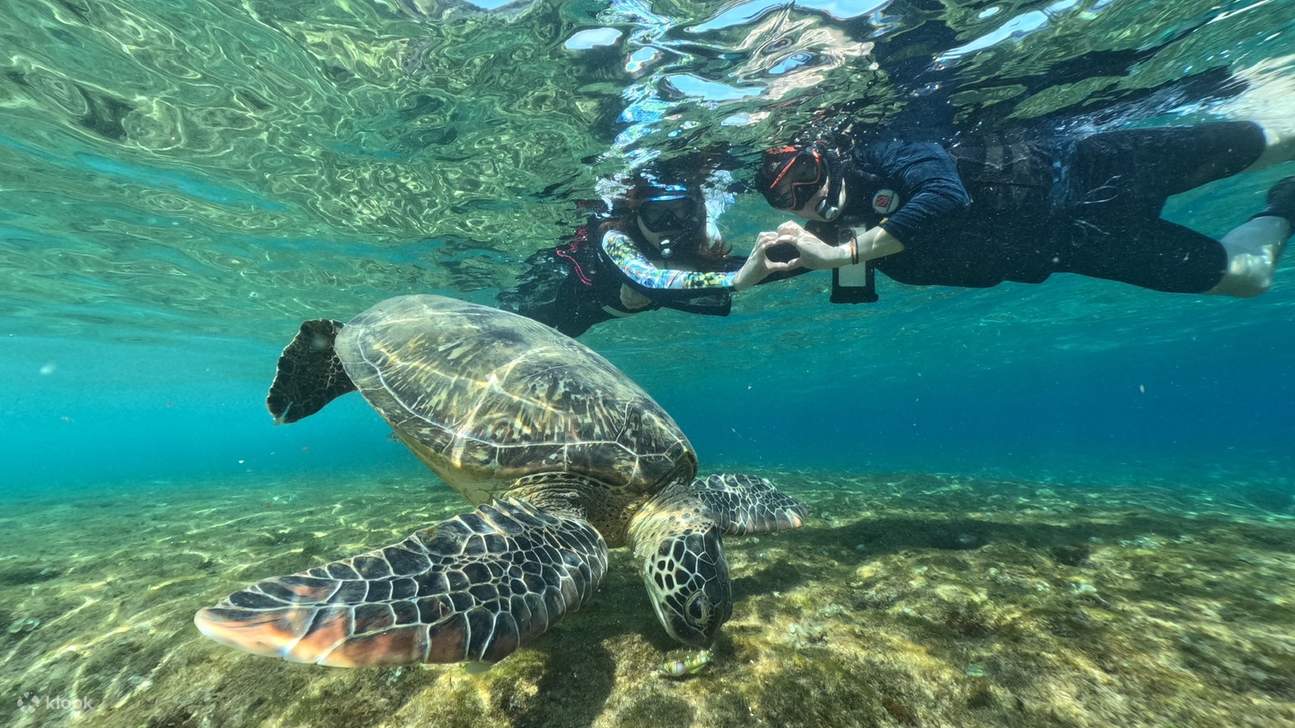 Xiaoliuqiu Snorkeling: Poseidon Ocean Sports Club - Snorkeling ...