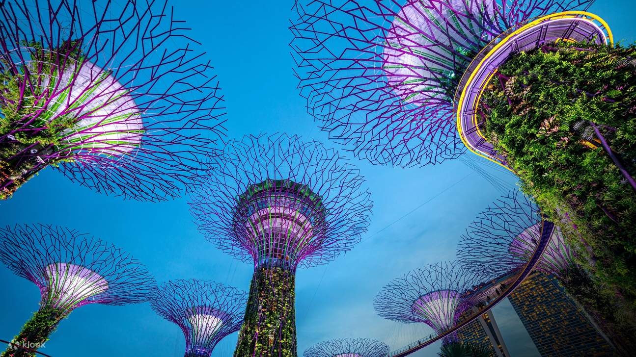 Singapore's Night Extravaganza: River Cruise,Spectra & Rhapsody Show ...