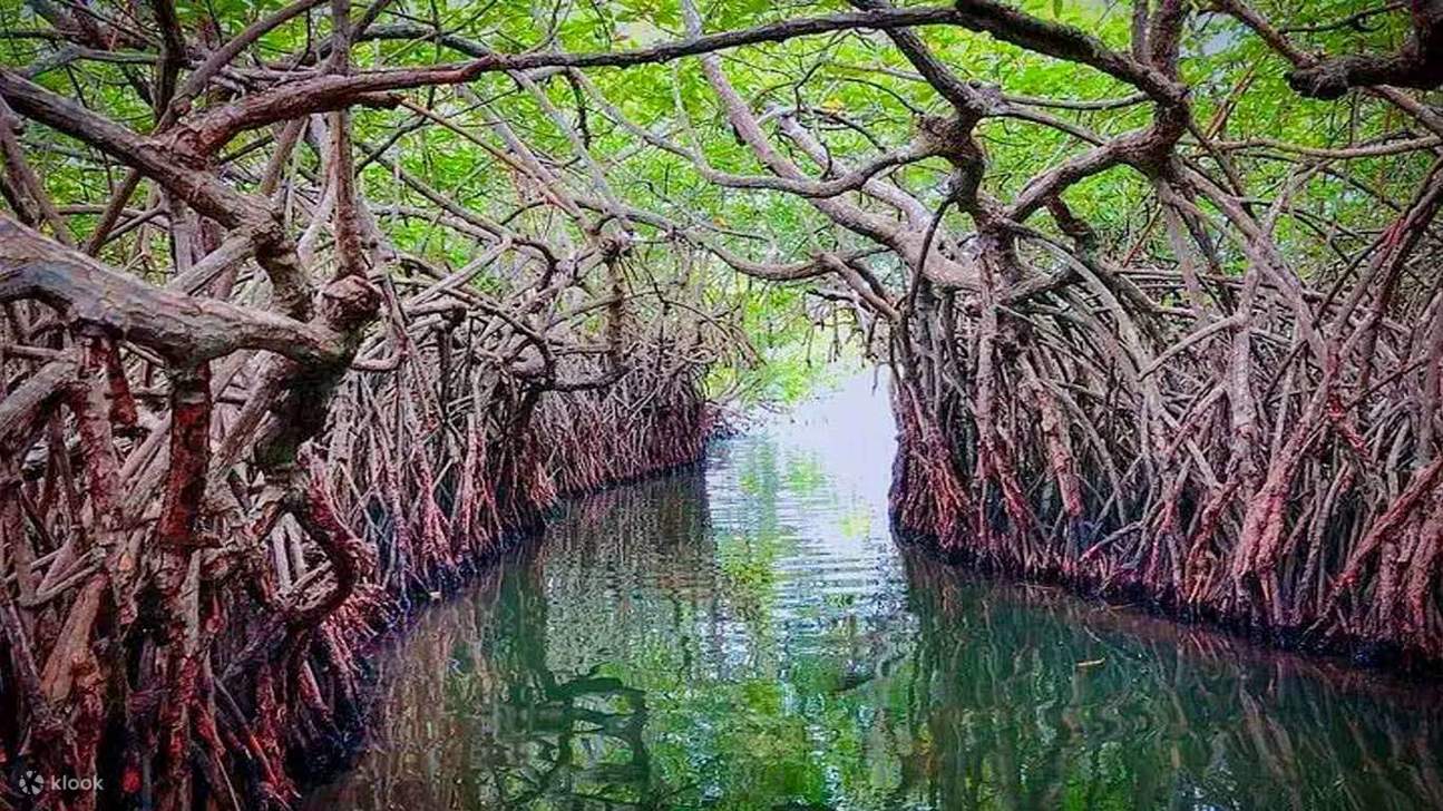 Madu River Private Boat Cruise Safari - Klook Hong Kong