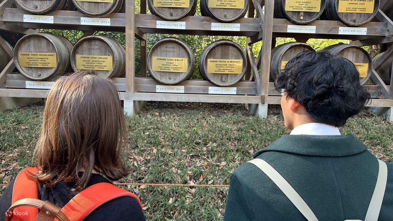 Shibuya Walking Tour with a Local Guide, Meiji Shrine in Tokyo - Klook