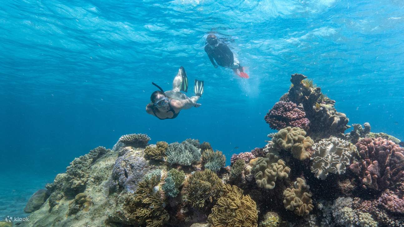 AquaQuest Day Trips to the Outer Reef - Klook Philippines