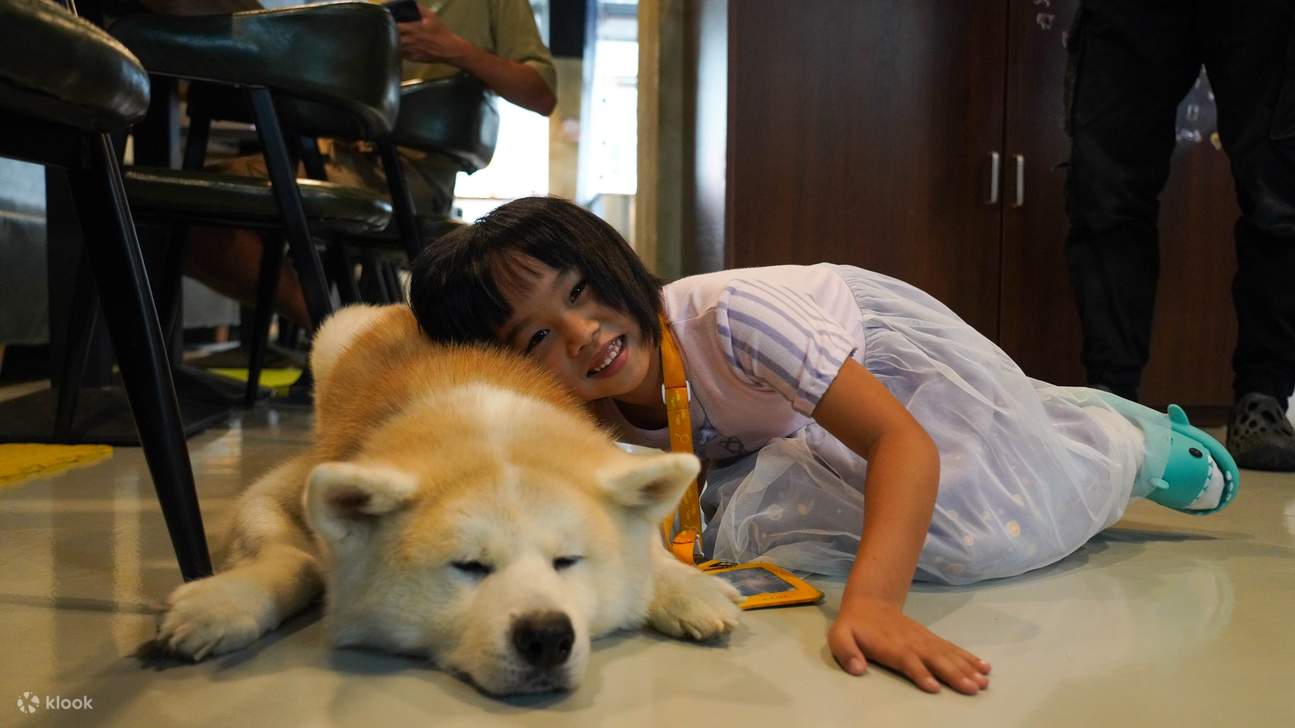 On Dog Dog Cafe - Pet Interaction Experience in Hong Kong - Klook Singapore