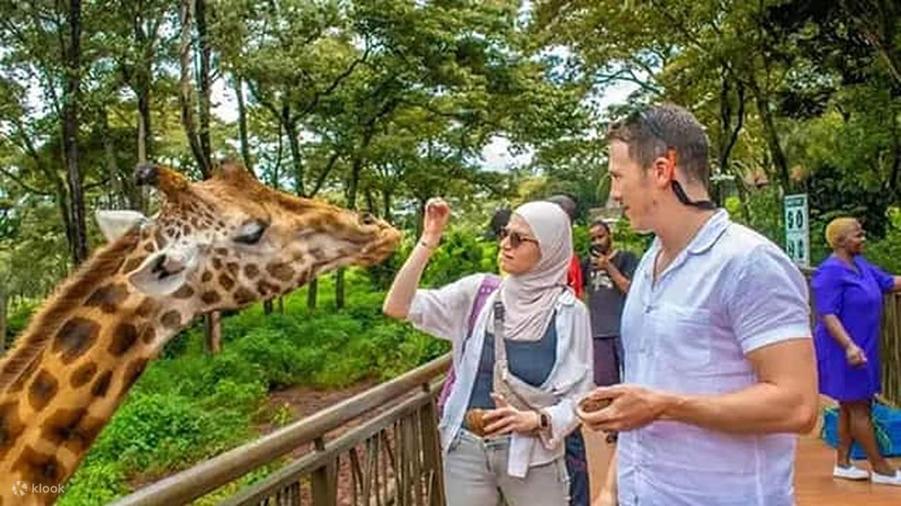 Mombasa: Shore Excursion And City Historical Guided Tour. - Klook India
