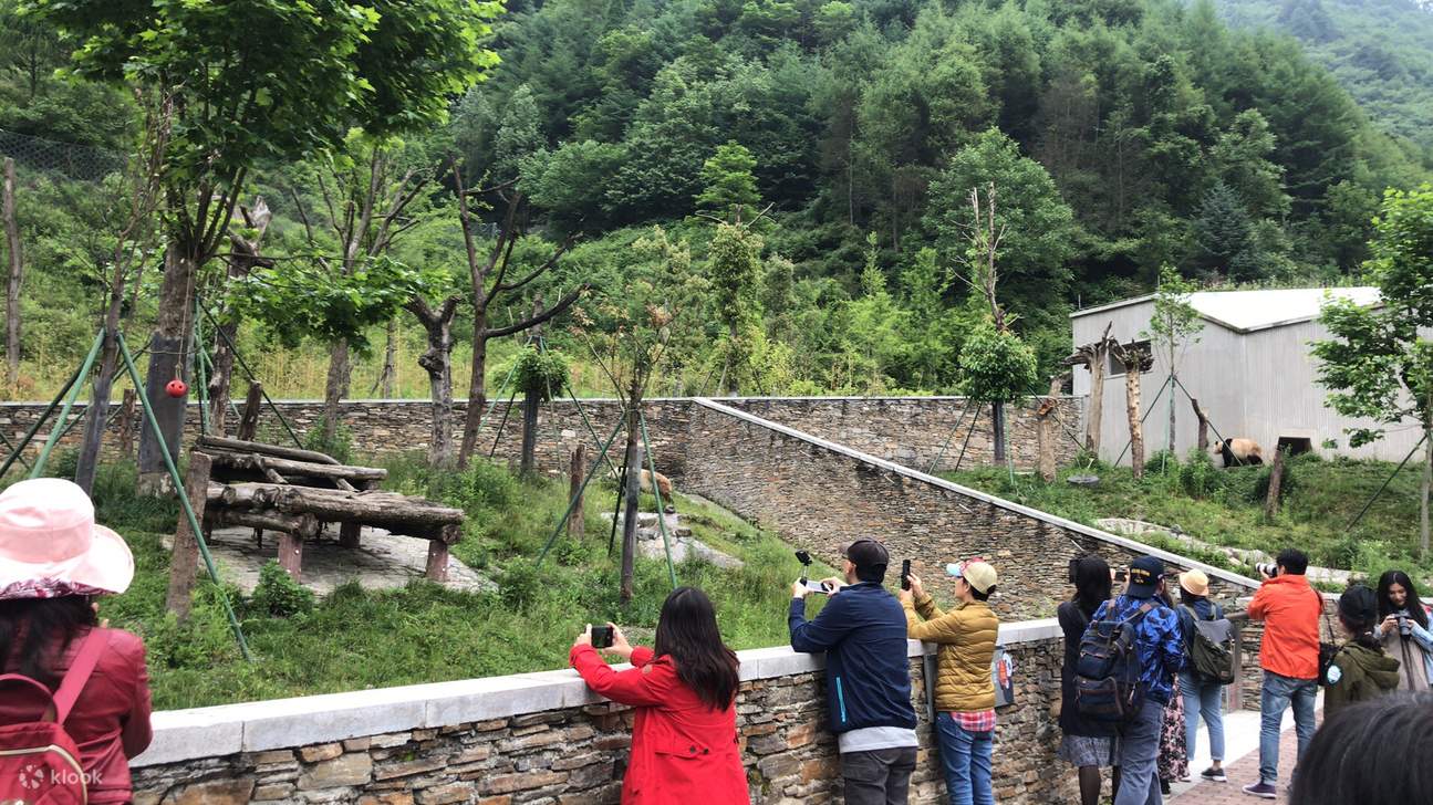 Wolong Shenshuping Giant Panda Base One-Day Tour/Private Tour/Personal ...