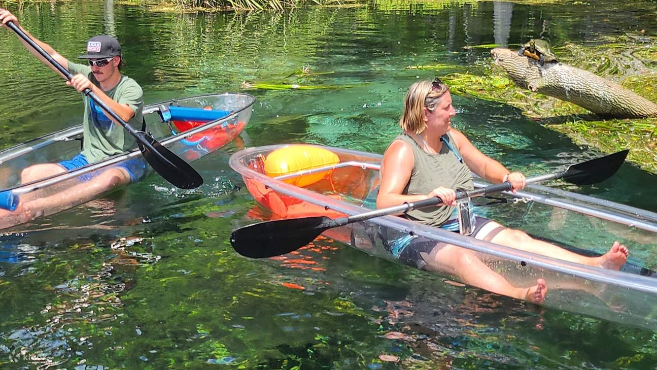 Manatees and Monkeys Clear Kayak or Clear Paddleboard Adventure at S ...